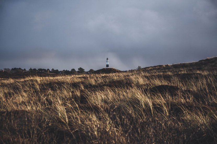 Ein Wintertag auf Sylt: So schön ist die Insel im Januar - Sylt Fräulein