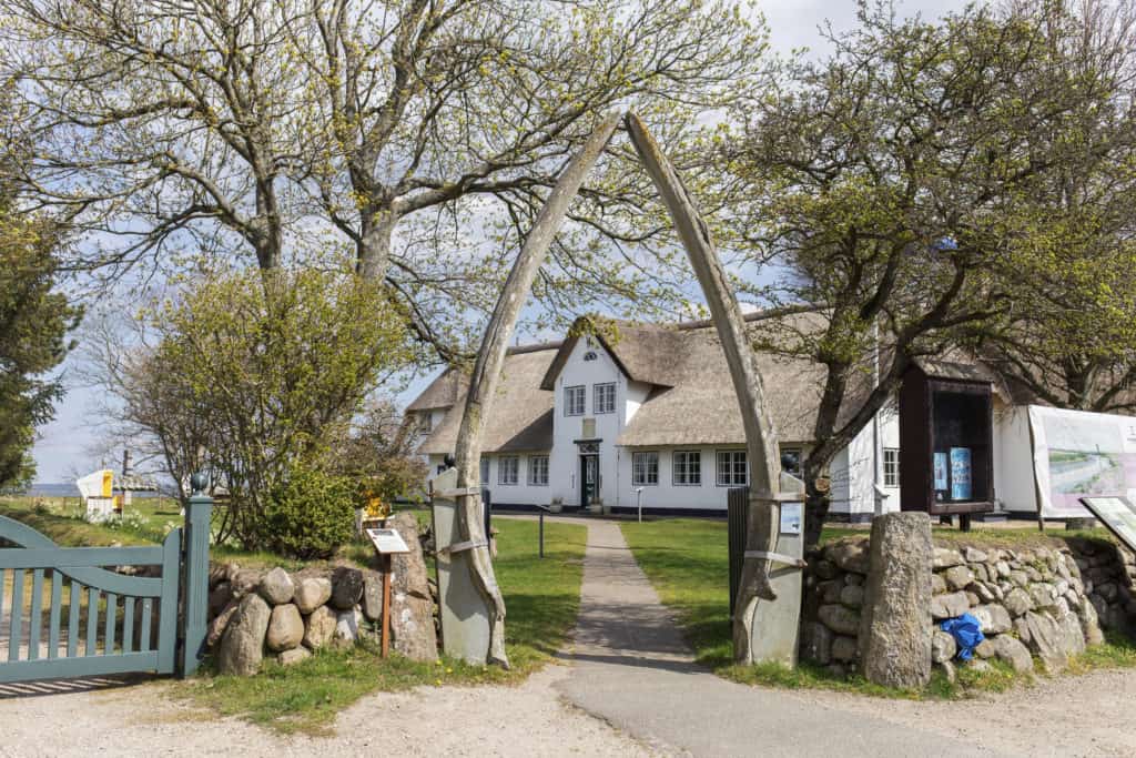 12 Tipps & Aktivitäten für deinen Winterurlaub auf Sylt - Sylt Fräulein