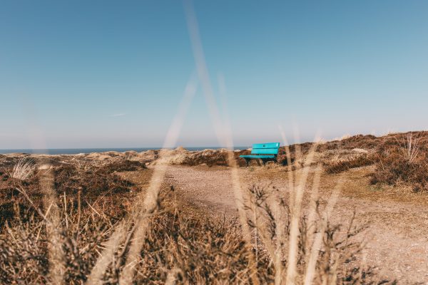 List auf Sylt: Meine 5 Lieblingsplätze & Geheimtipps - Sylt Fräulein